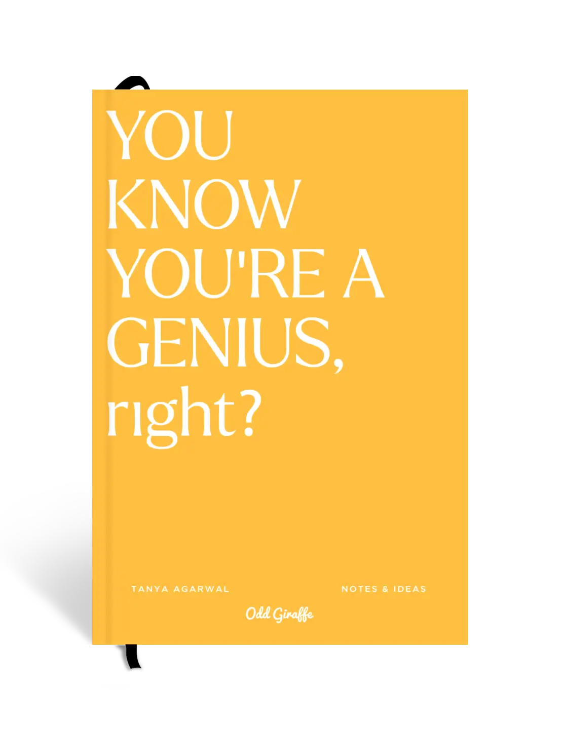 Daylight: A Personalized Student Notebook