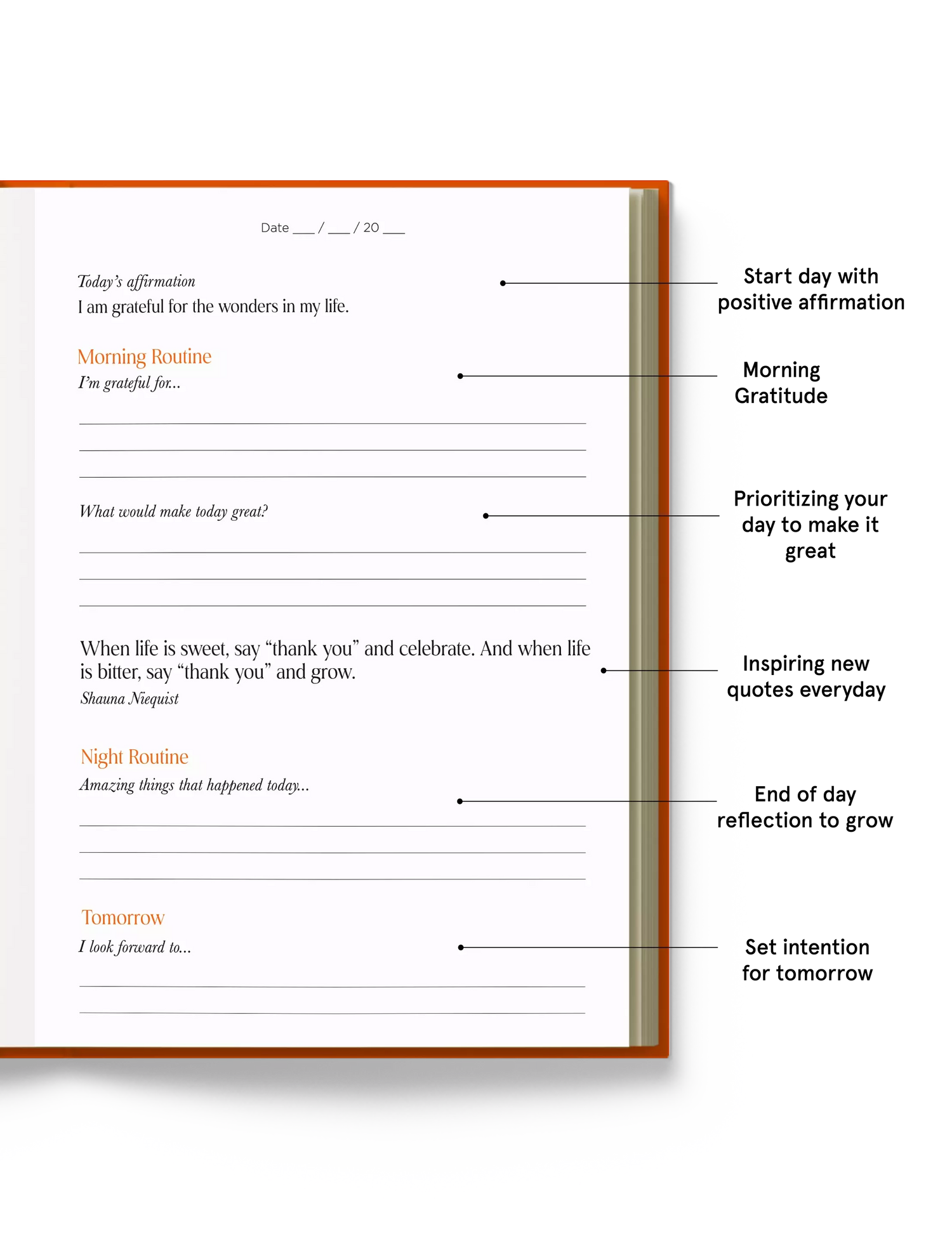 Tropical Dream: A Pretty Gratitude Journal