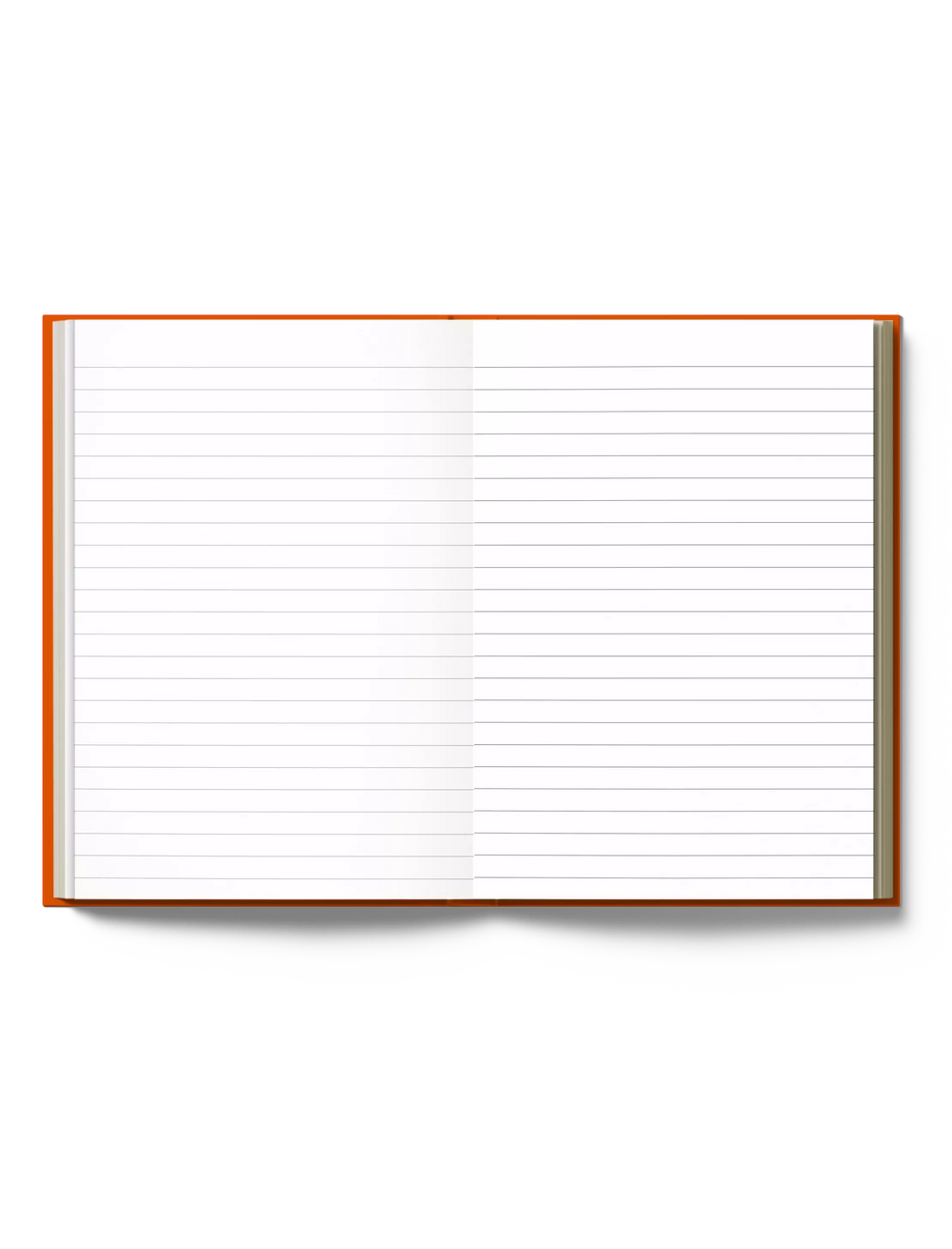 Dear Diary: A Writing Notebook